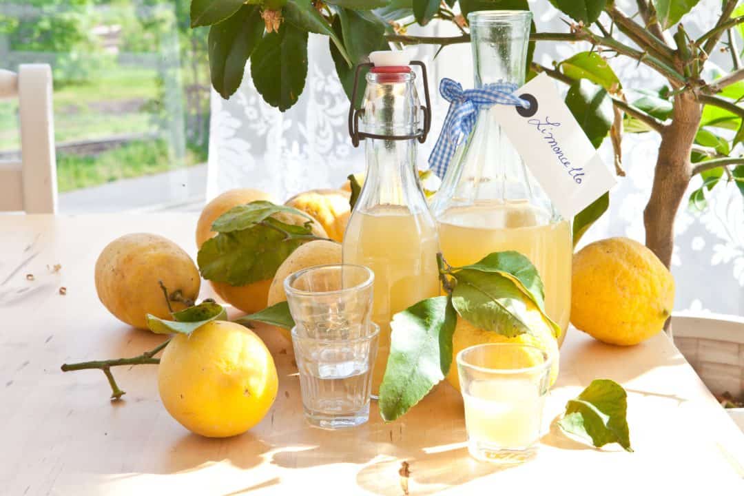 How to Make Limoncello at Home (Authentic Italian Limoncello Recipe ...